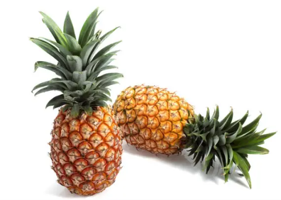 Frutas Populares em Portugal: Sabores, Origens e Benefícios ...
